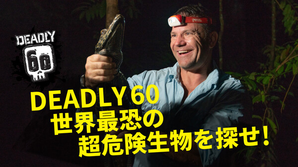 Deadly 60 ~世界最恐の超危険生物を探せ ~ Hulu フールー